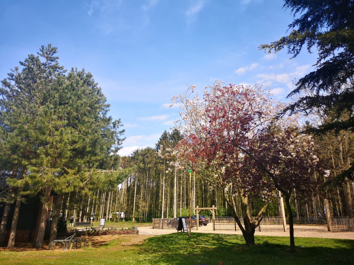 Build your own bird box – Clippesby Hall