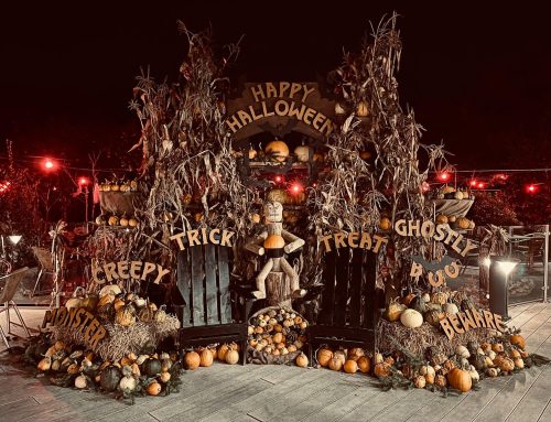 BASECAMP Set to Reopen – Clippesby Hall